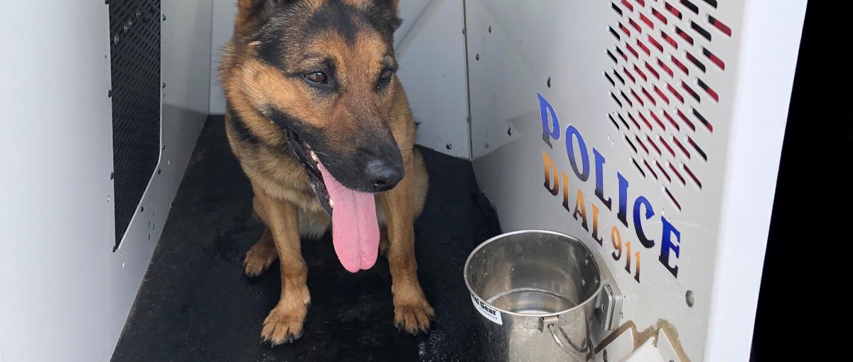Secure Systems for Military, Police & Border Protection K9 Units ...