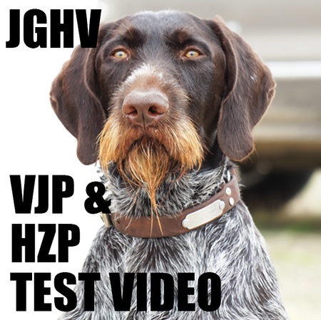 VDD-GNA, JGHV VJP, HZP and VGP Test Videos, DVDs by Dogs Unlimited LLC